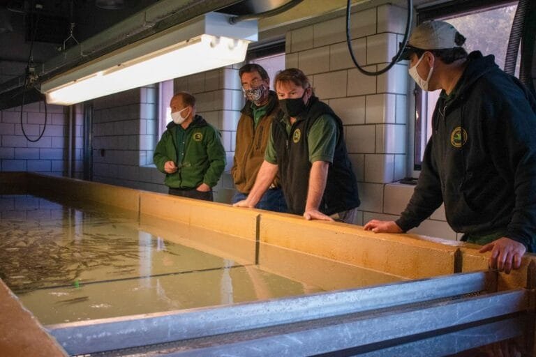 Michigan Fish Hatcheries - 150 Years Of Creating Great Lakes Sportfishing