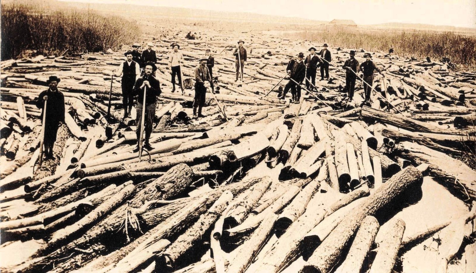 Newaygo Michigan History - 9 Incredible Photos Of This Historic River ...